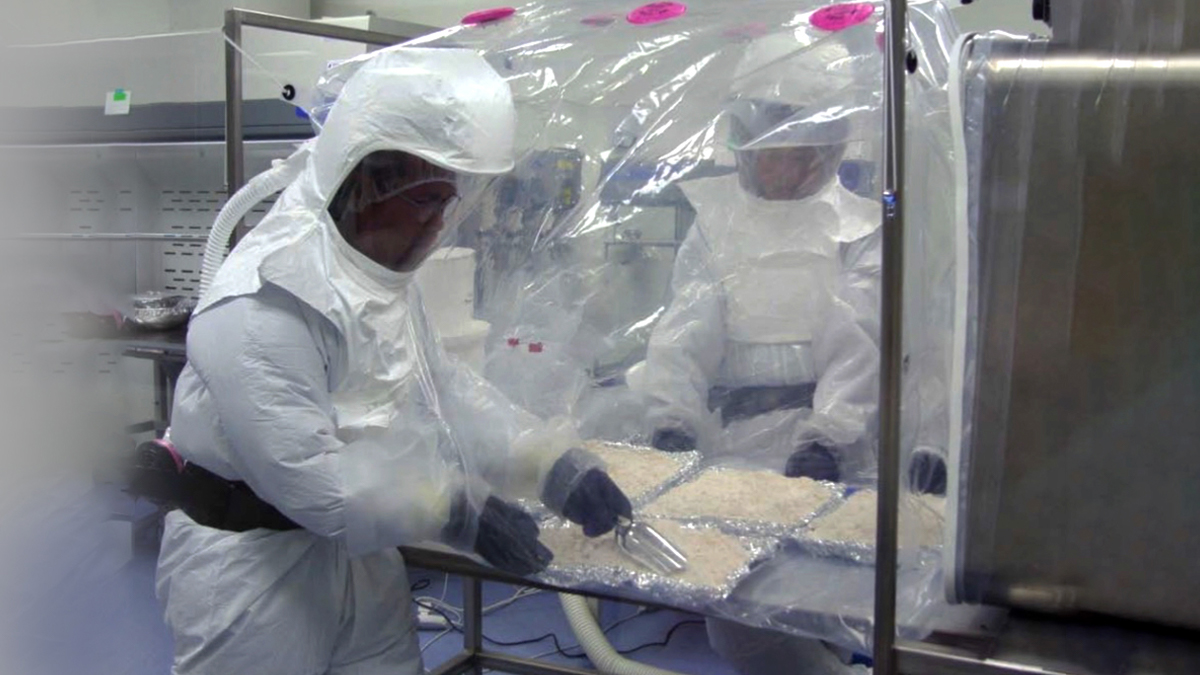 soloFLEX Benchtop Containment Isolator | ILC Dover